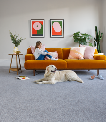Apollo Plus Carpet – RightPrice